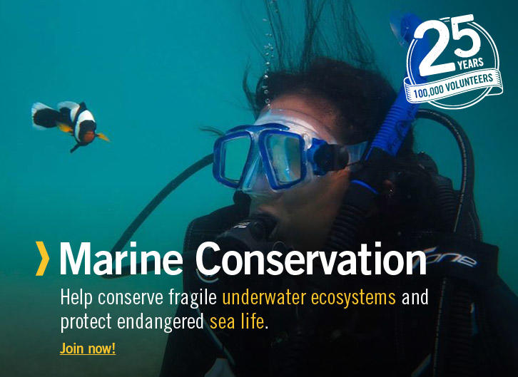 Volunteer Abroad, Gap Years and Internships | Projects Abroad